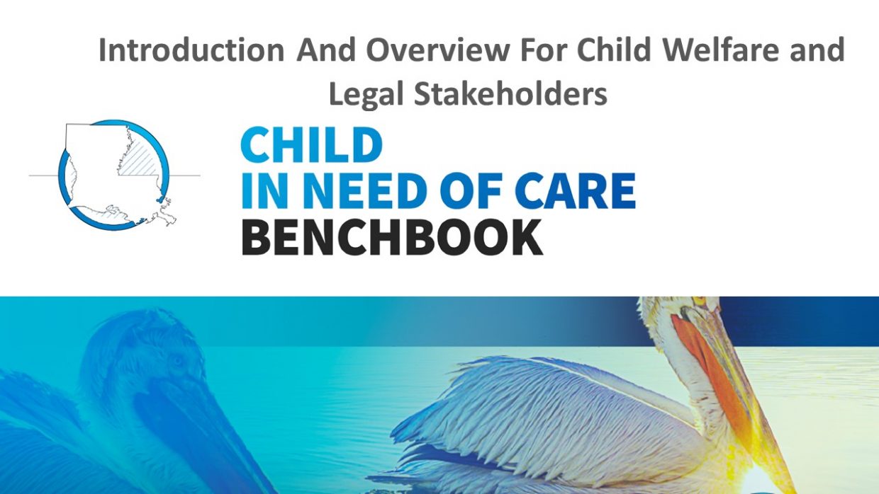 Louisiana CINC Benchbook: Introduction and Overview for Legal and Child ...